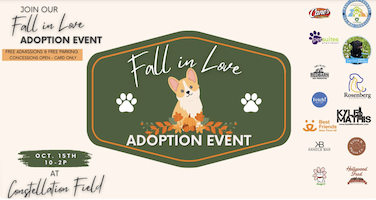 Fall in Love Adoption Event